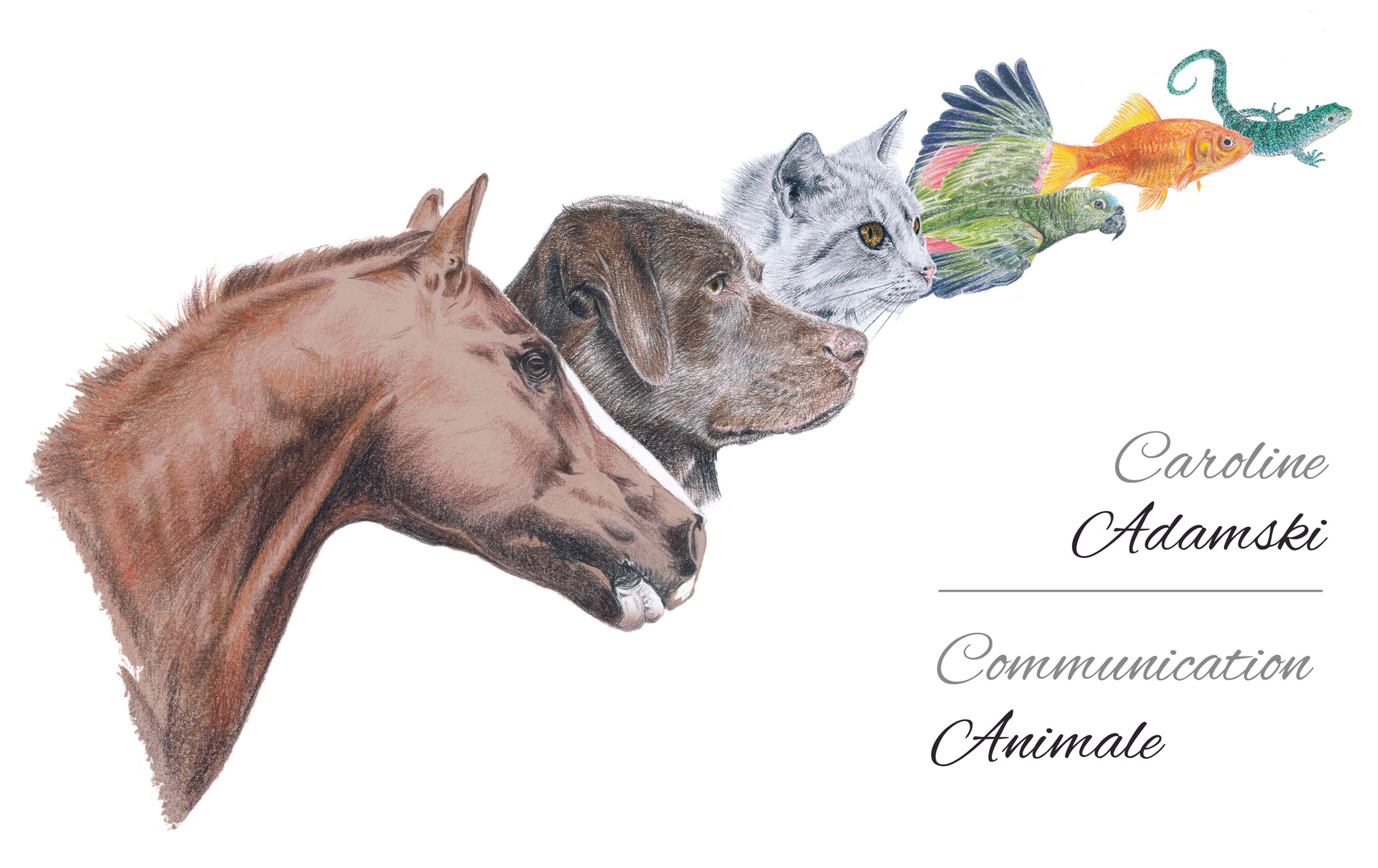 Communication Animale et Intuitive Pays de la Loire, Caroline ADAMSKI