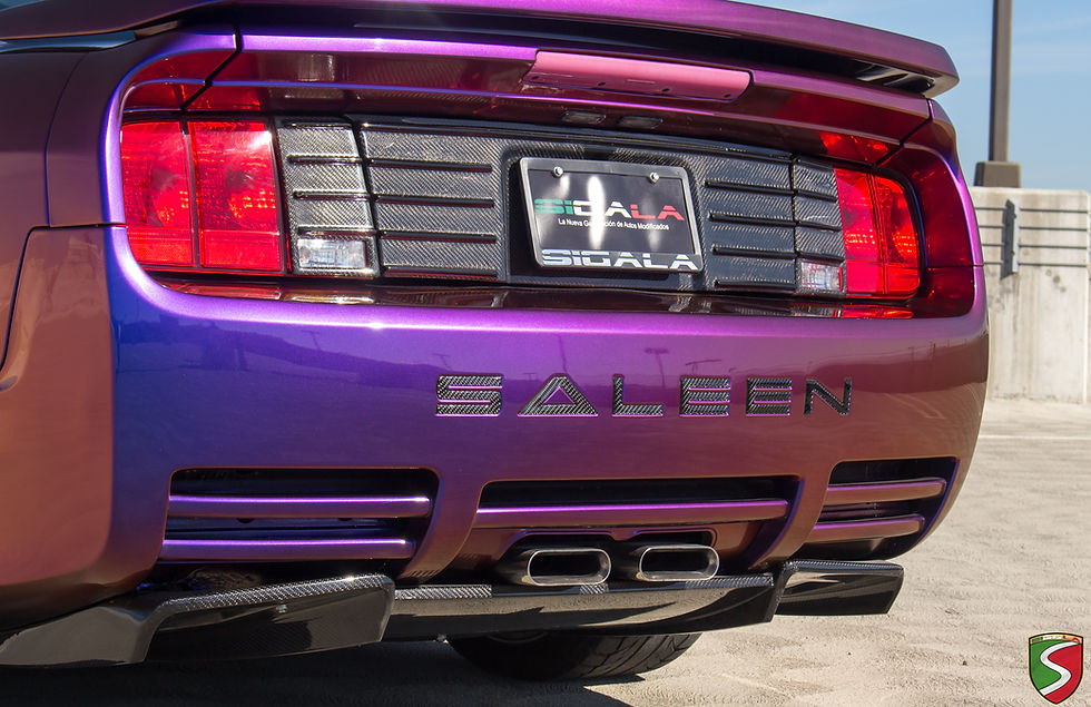 2005 - 2009 Mustang Carbon Fiber Saleen Rear Bumper Inserts | Sigala ...