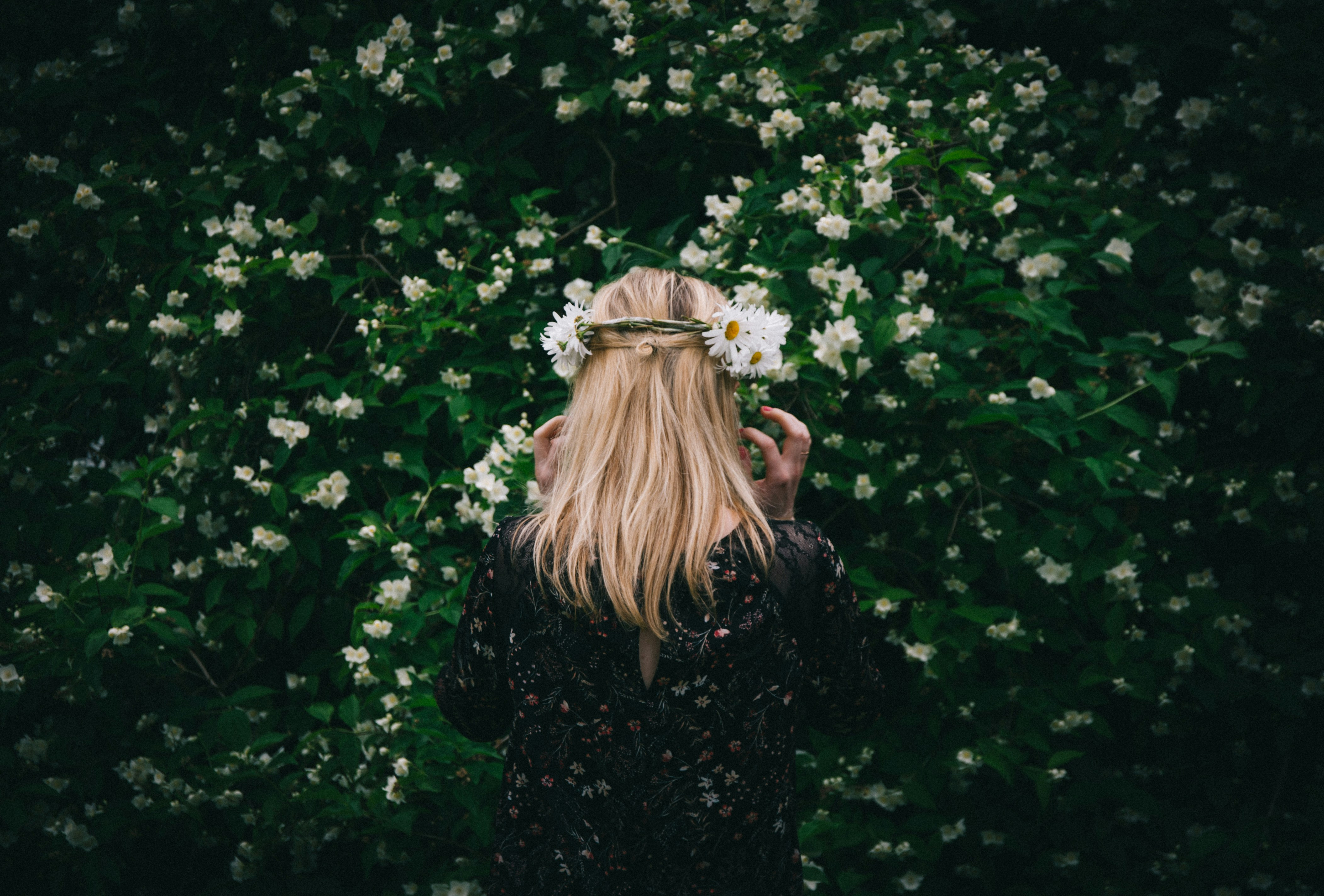 MIDSOMMAR FAIRY CIRCLE | Fire + Alchemy
