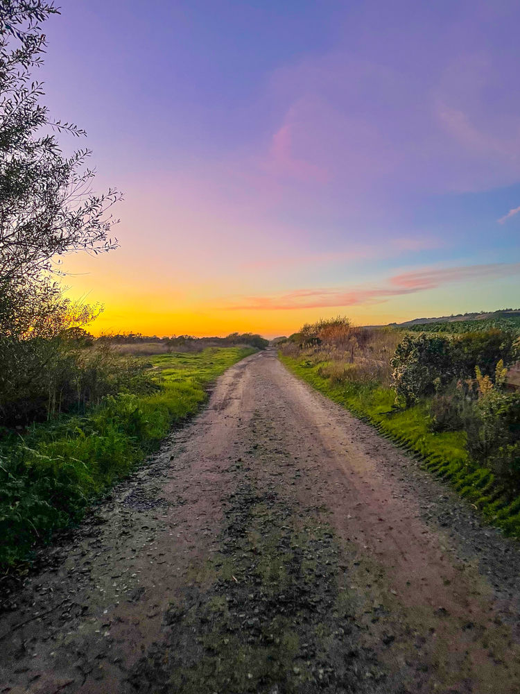 Wild over Wilder Ranch State Park