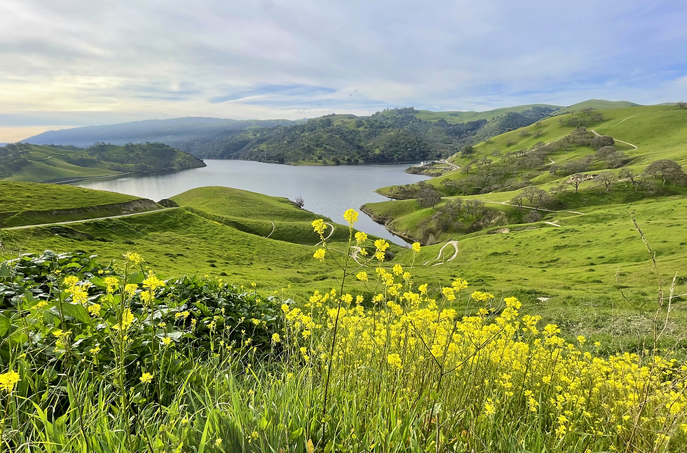 Delightful Del Valle