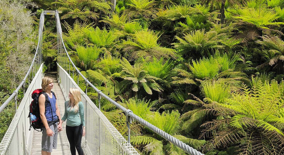Tarra-Bulga National Park