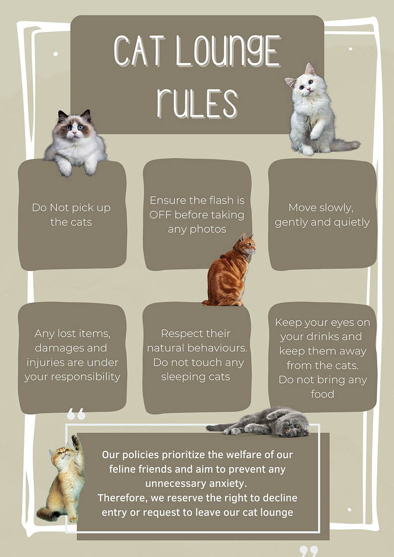 before you visit | Jiji Rescue Cat Cafe