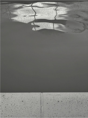 Contemporary Artist | Sára Sebestyén Photography