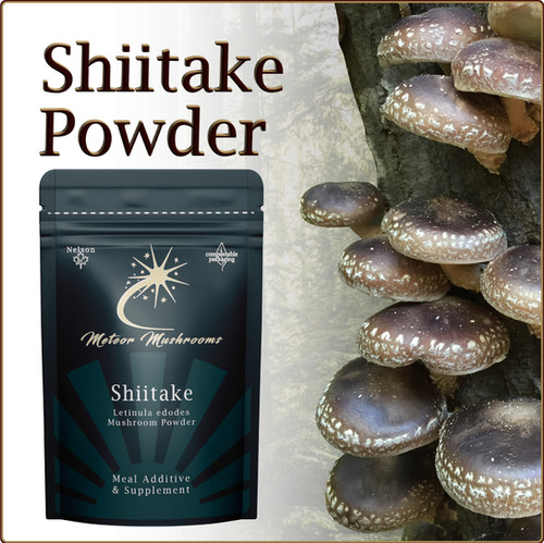 Shiitake Mushroom Powder | METEOR MUSHROOMS