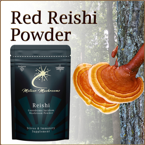 Reishi Powder ~ 100g. or 100 gelcaps | METEOR MUSHROOMS