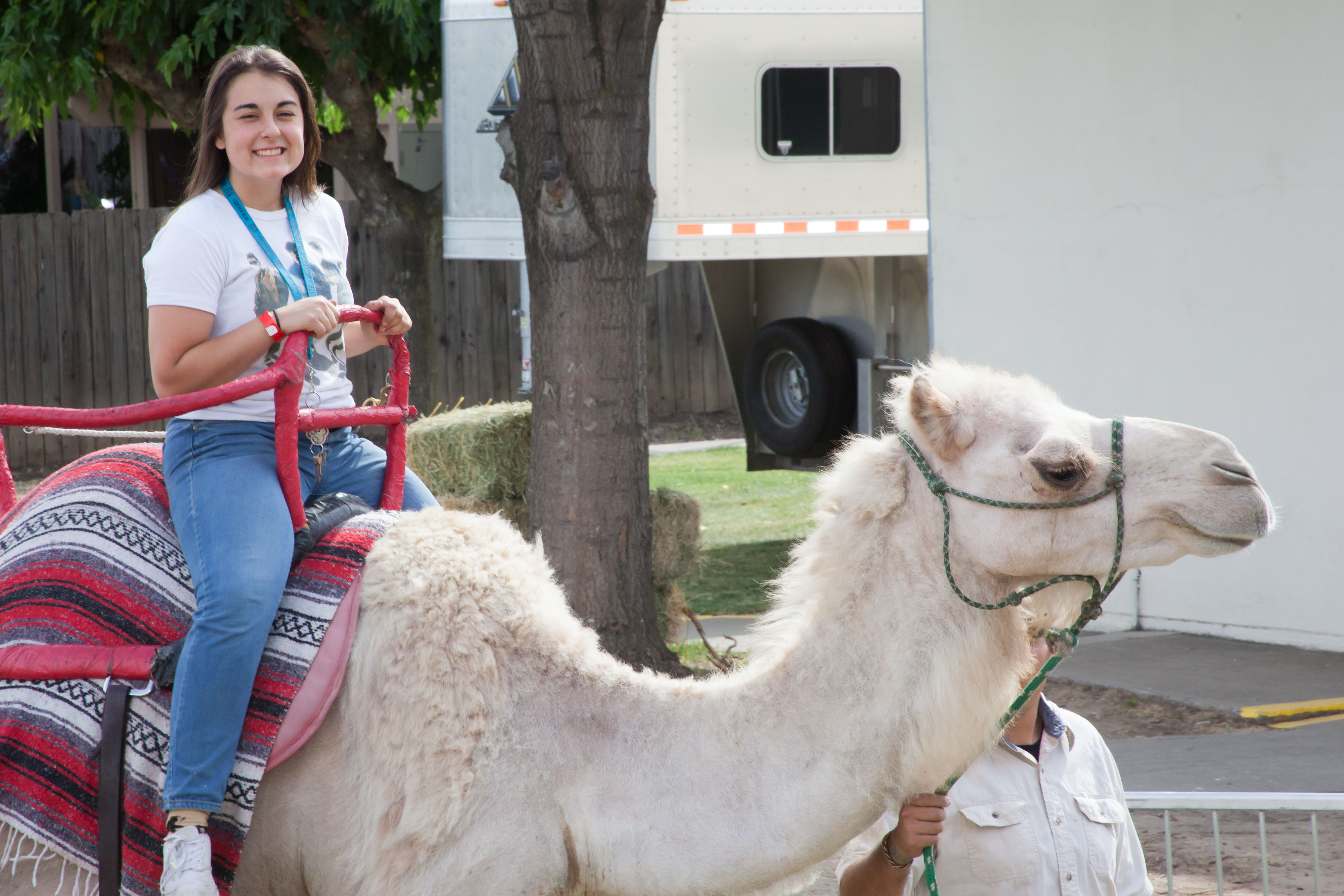ATTRACTIONS | California | The Merced County Fair