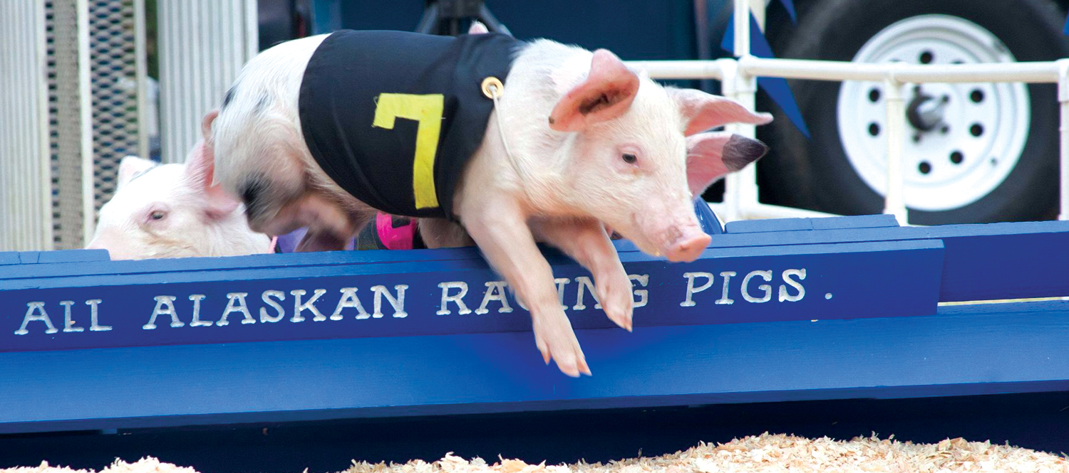 The Merced County Fair | Home