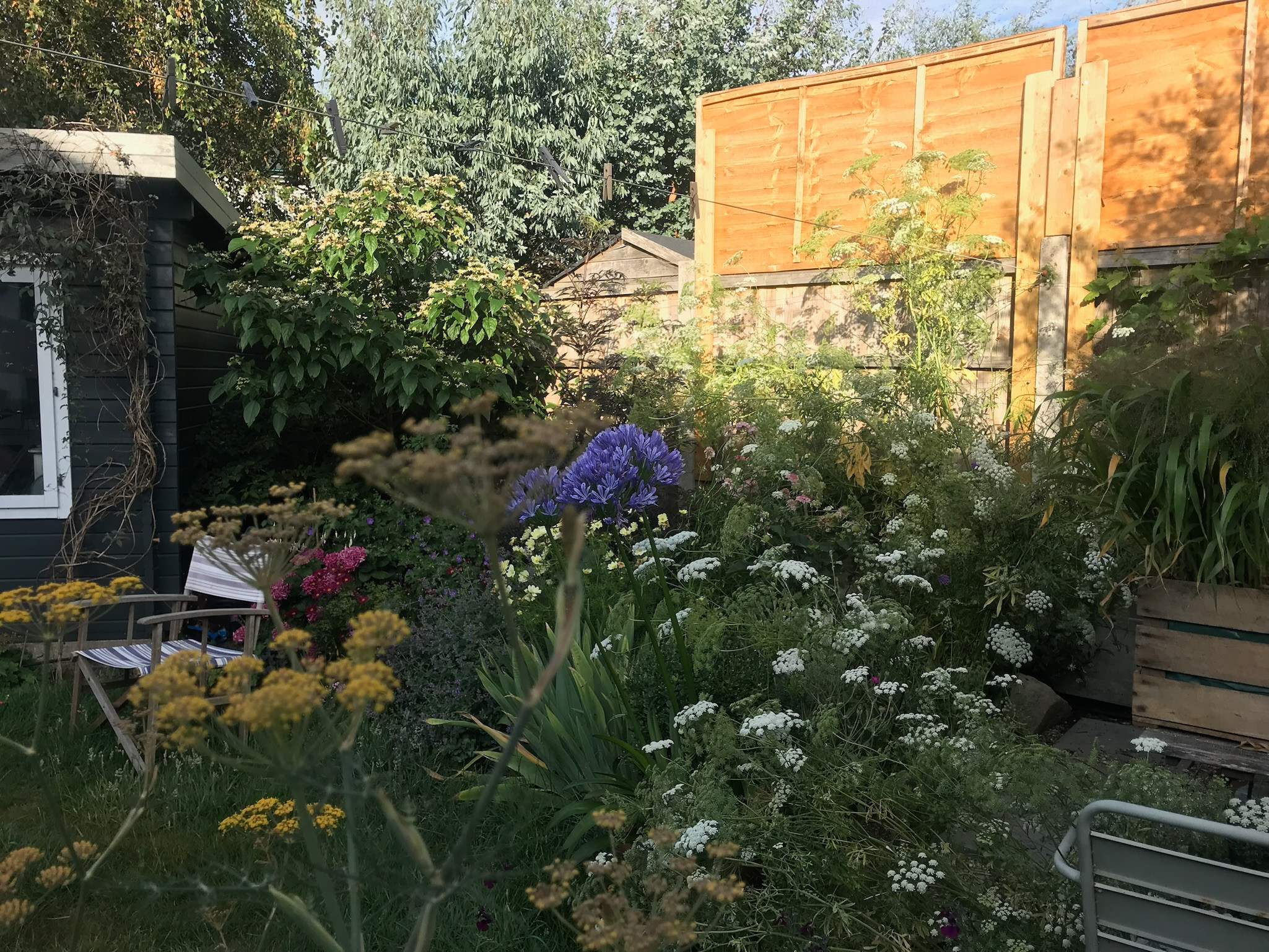 Garden Consultation and Advice