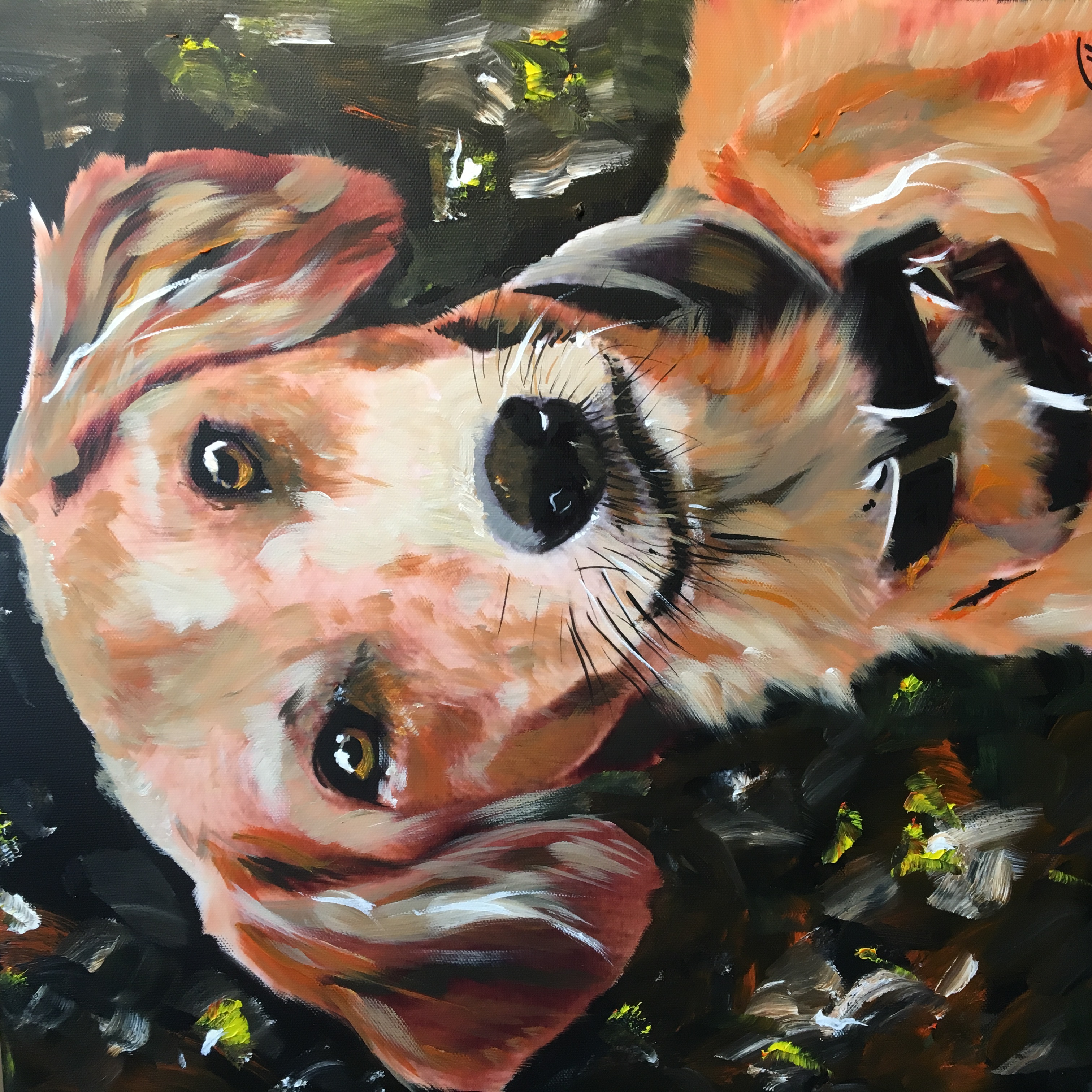 The Dog Portrait Artist Home Page, Henley-on-Thames, Oxfordshire, UK