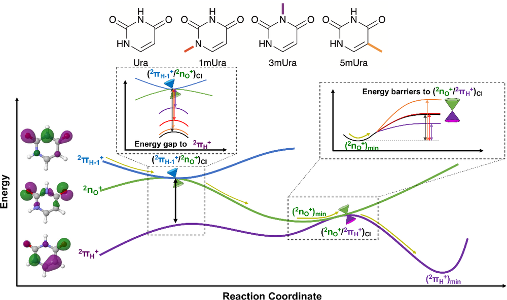 3-Methylation and its effects in the photoionisation of uracil
