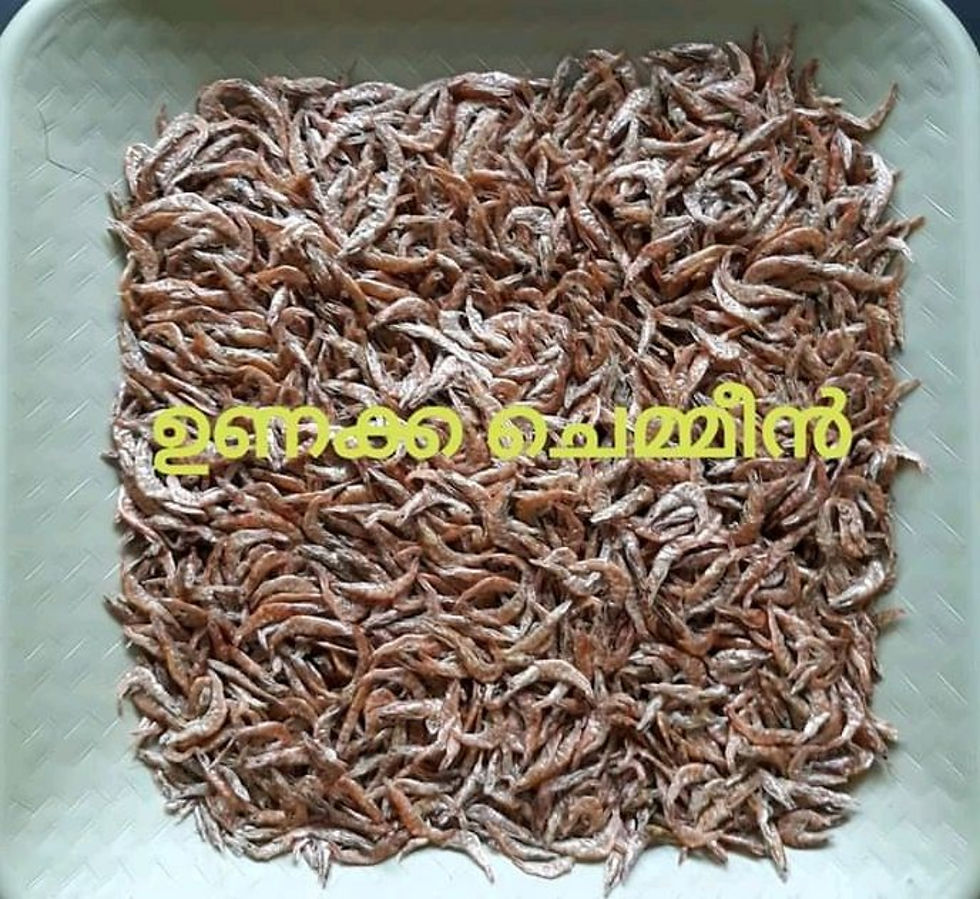 Indian dry prawn fish | Lazeo mart