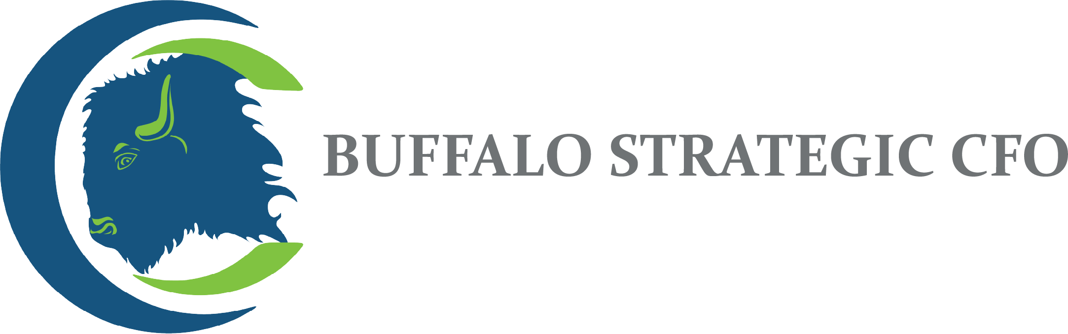 Buffalo Strategic CFO Accounting & Bookkeeping | C-Suite Support