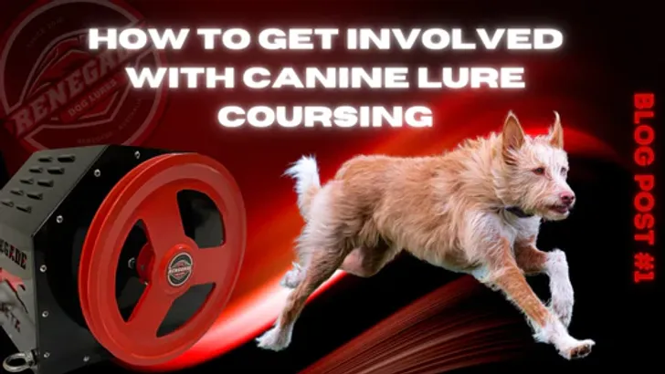 How To Get Involved In Canine Lure Coursing and Fast CAT / Fast DOG