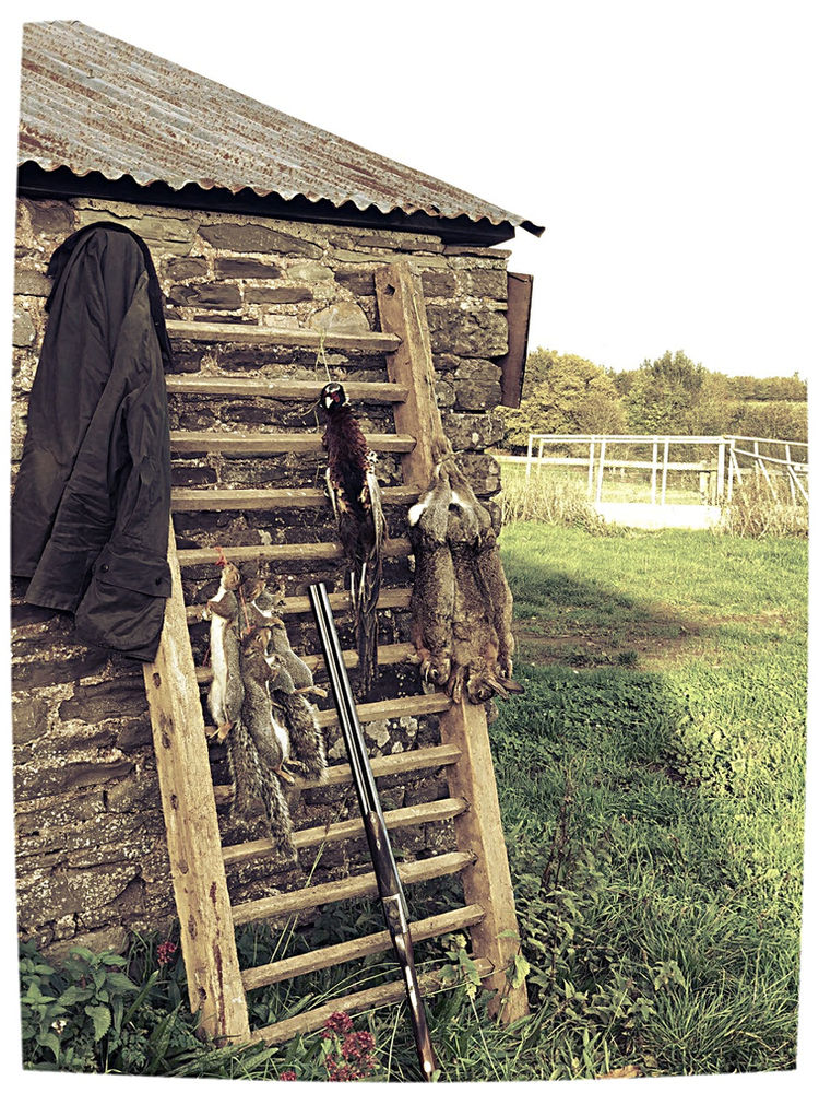 Harvesting Nature: Sustainable Hunting