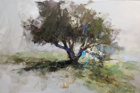 Andrew Braitman | Carlton Gallery