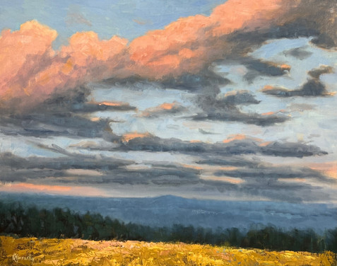 Kim Abernethy | Carlton Gallery