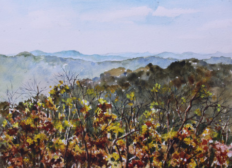 Freeman Beard | Carlton Gallery