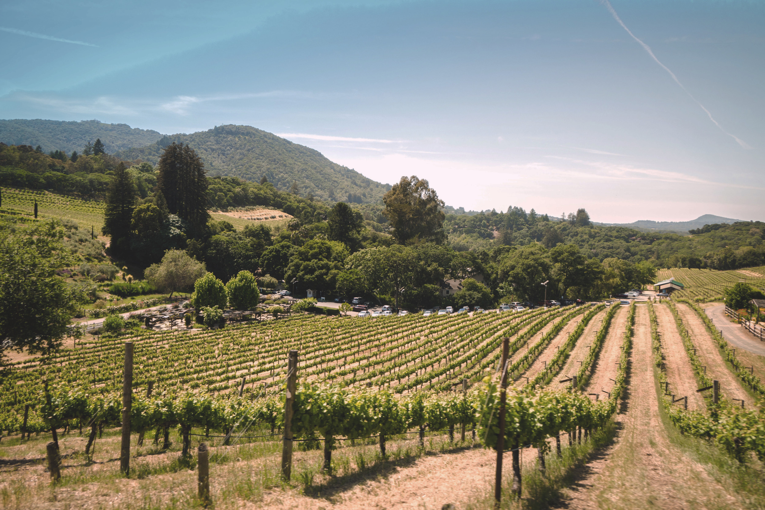 Discover the wines of Friuli Venezia Giulia