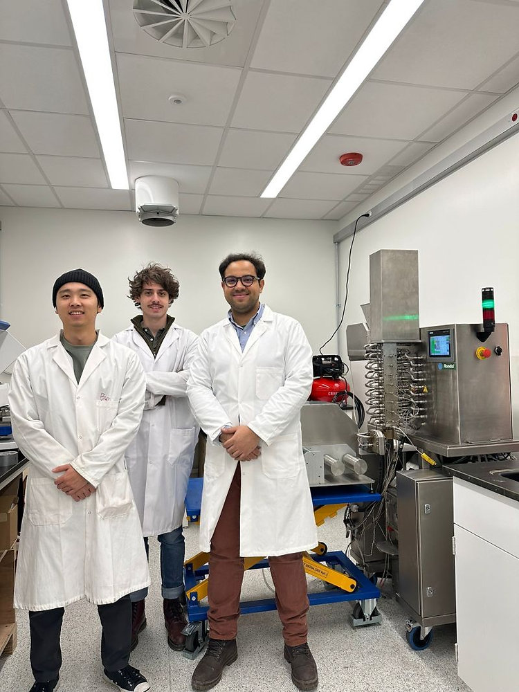 Vertical extrusion for research on battery applications with the ...