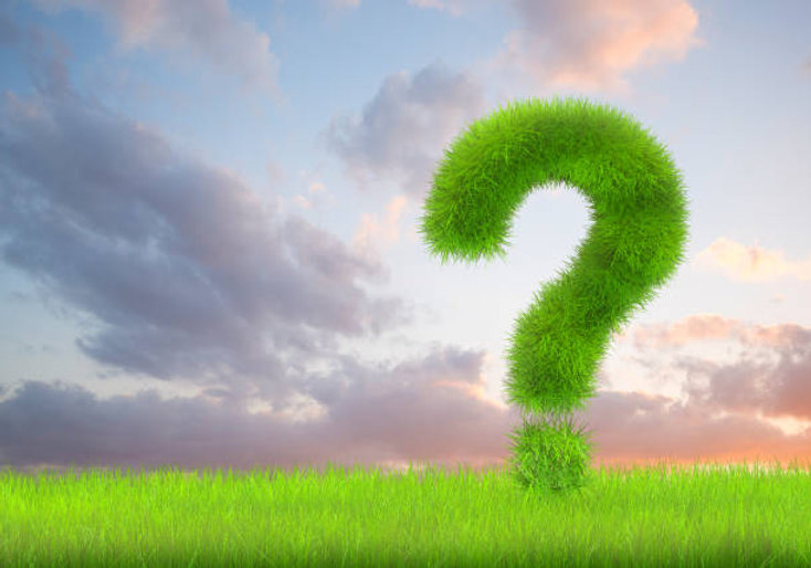 The Power Of What Questions the-power-of-what-questions