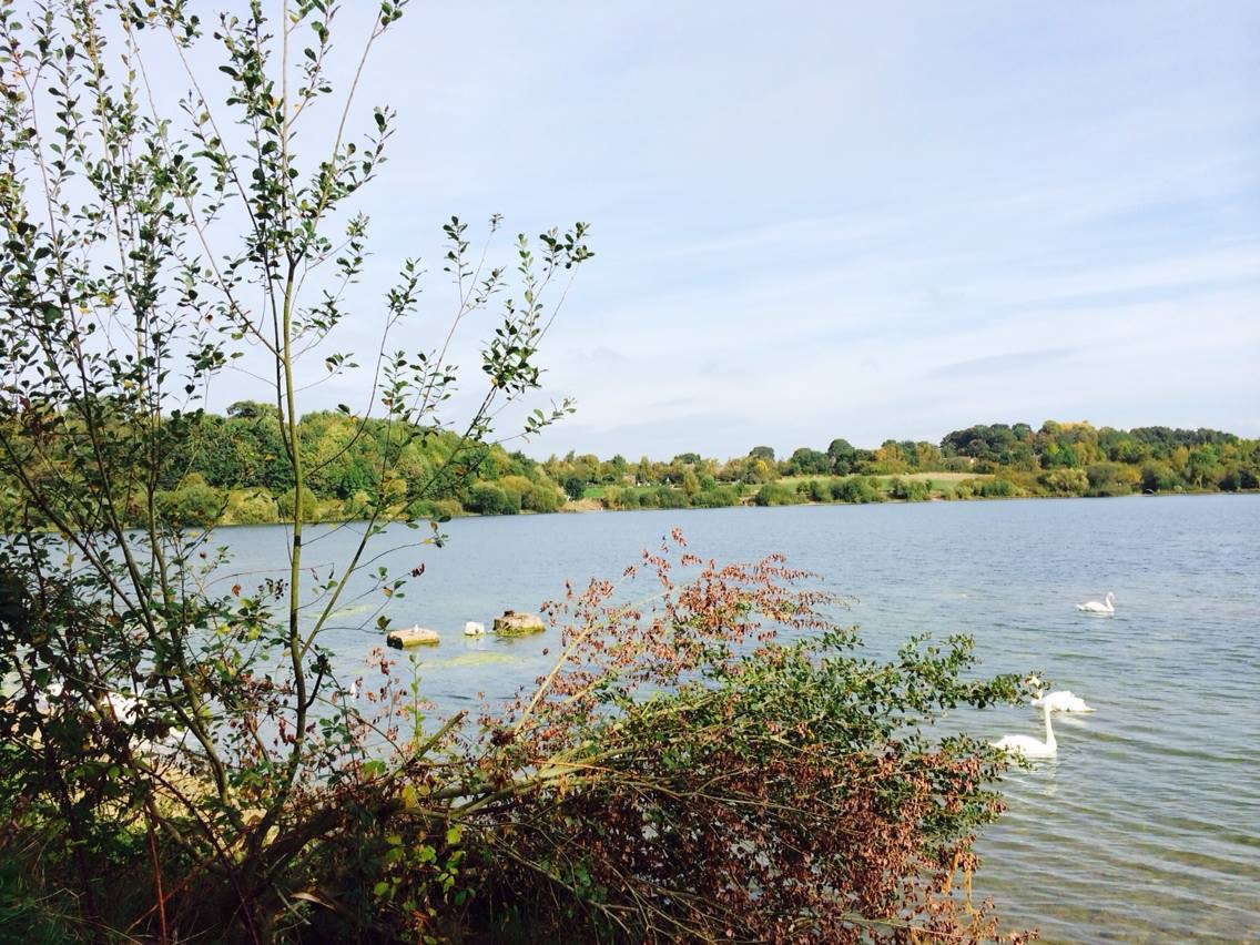 Lawton Hall Estate | Cheshire