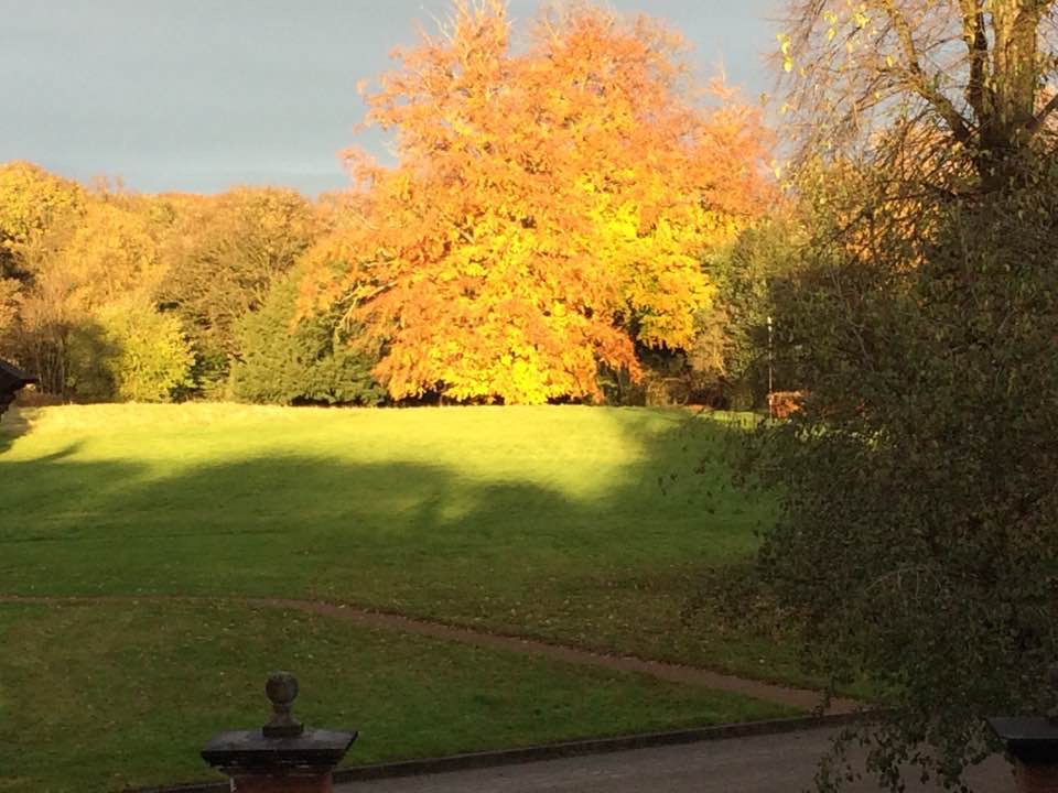 Lawton Hall Estate | Cheshire
