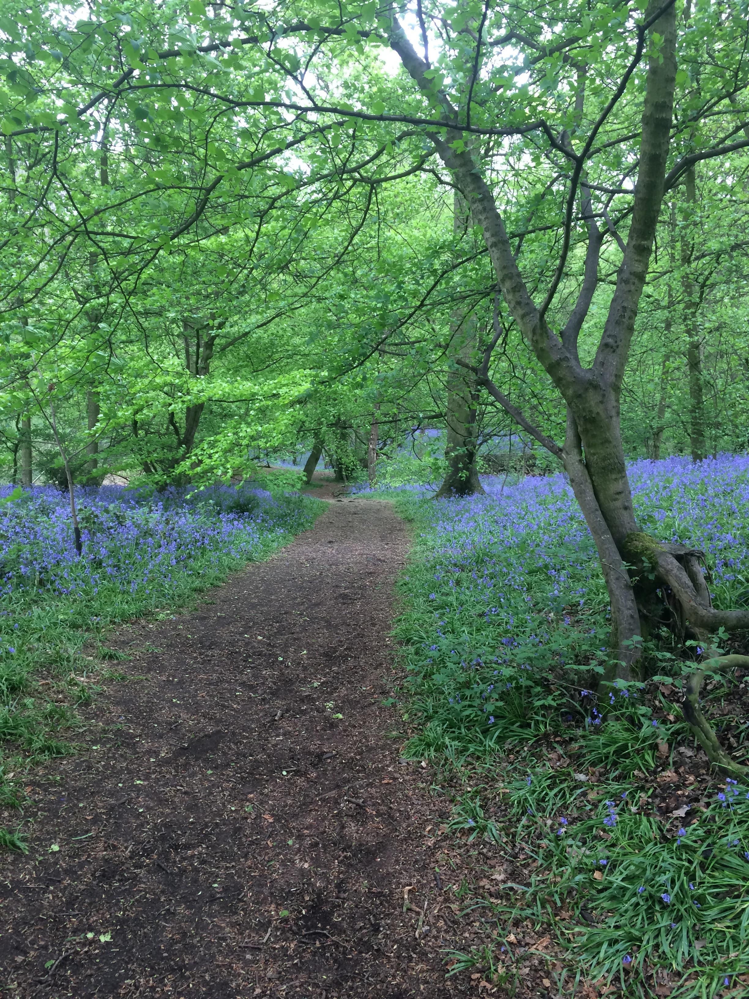 Lawton Hall Estate | Cheshire