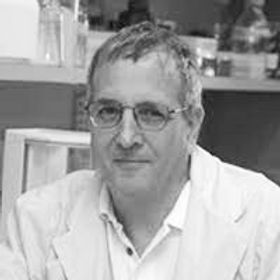 Mark Minden's Instagram, Twitter & Facebook on IDCrawl