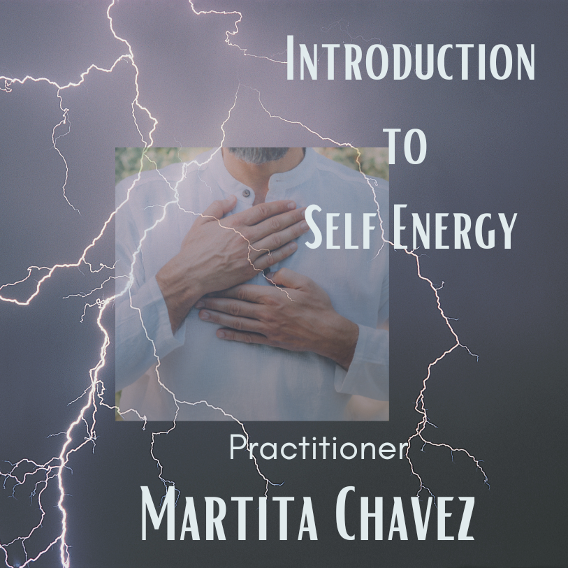 Introduction to Self Energy | MetaphysicalU