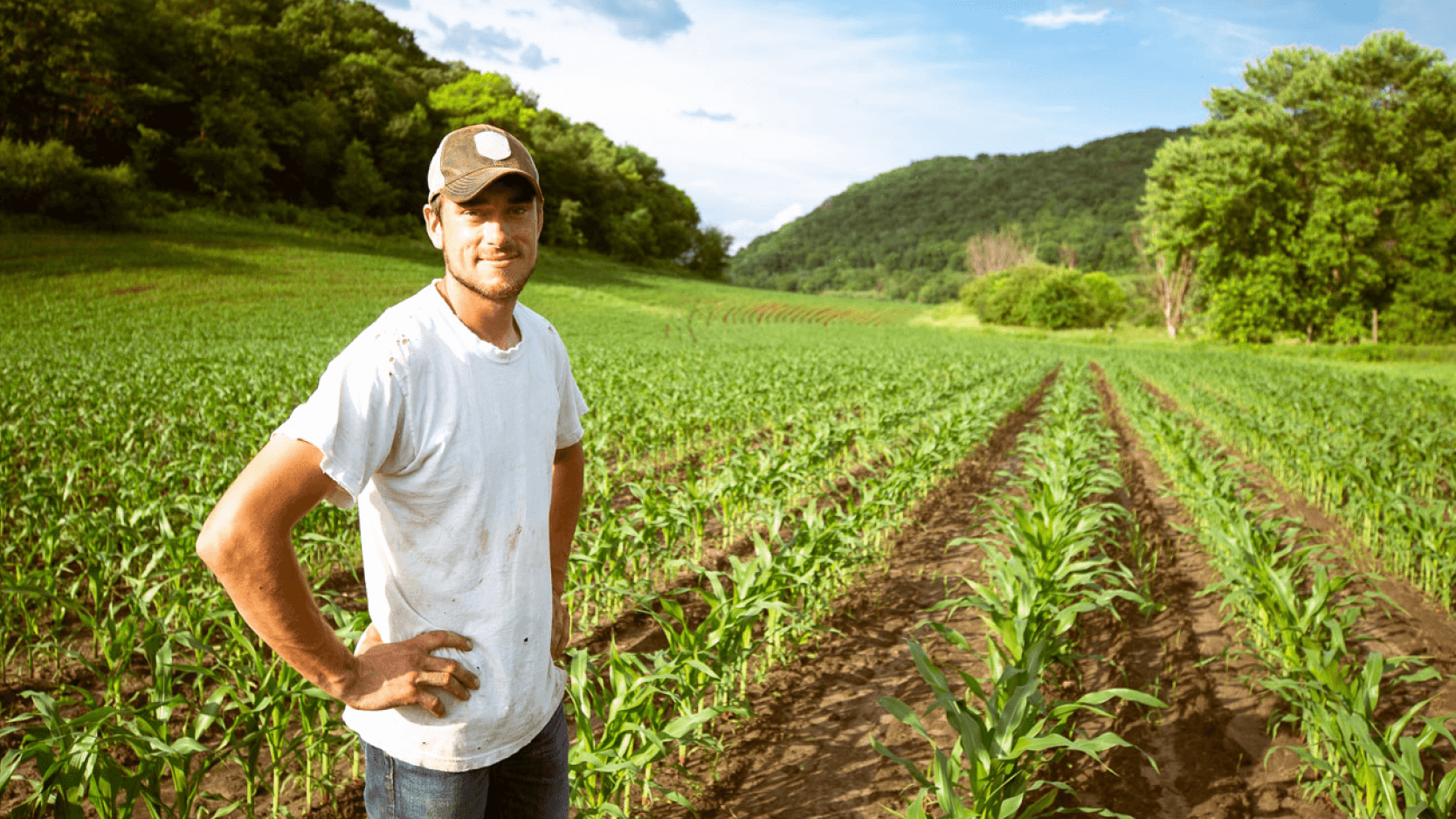 Farm Financing Made Easy | The Ag Center