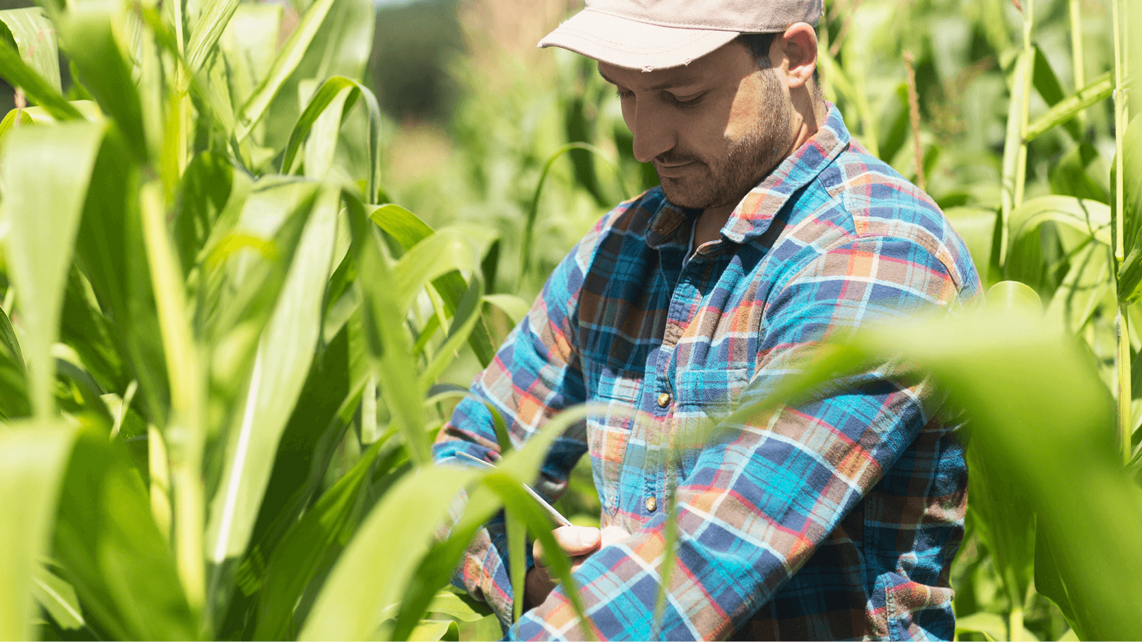 Farm Financing Made Easy | The Ag Center