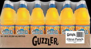 Guzzler Citrus Punch....1 case | goods2door.com