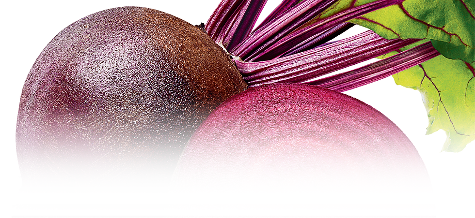 Crunchy Dried Beets | Volupta