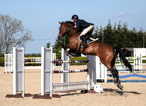 Jumping | Tweed Equestrian