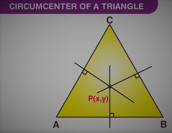 All You Need to Know About the Circumcenter of a Triangle