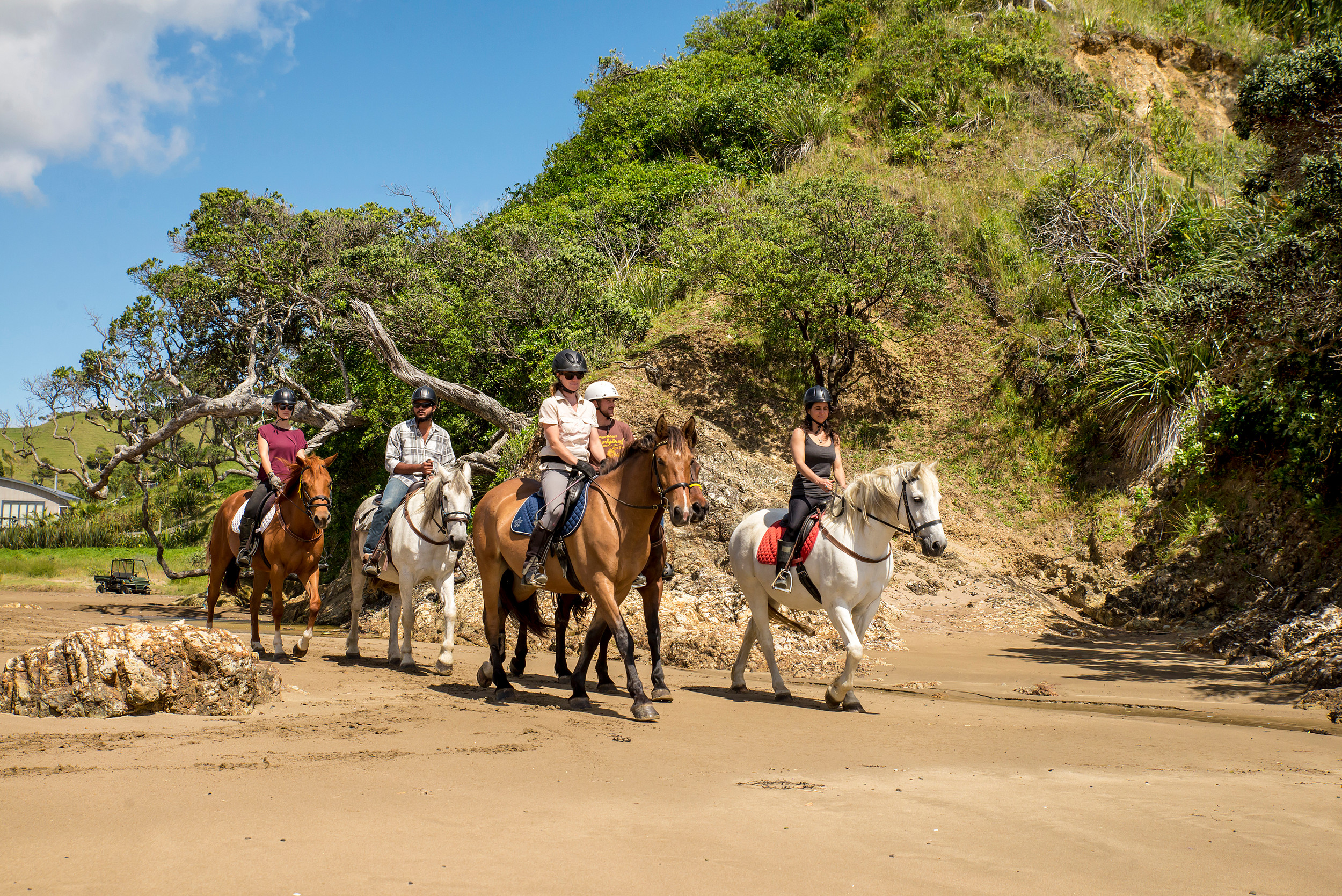 Horse Riding in Sandy Bay Northland | Glamping & Equine
