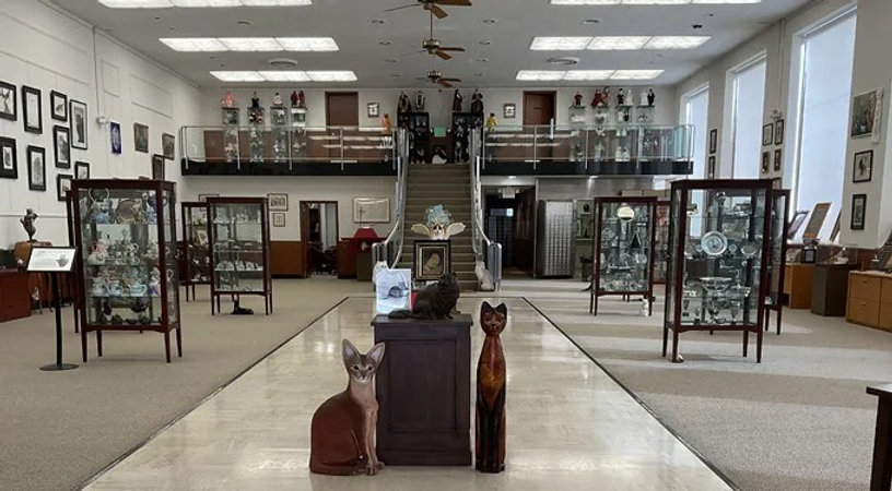 Ohio has the purr-fect museum for cat lovers!