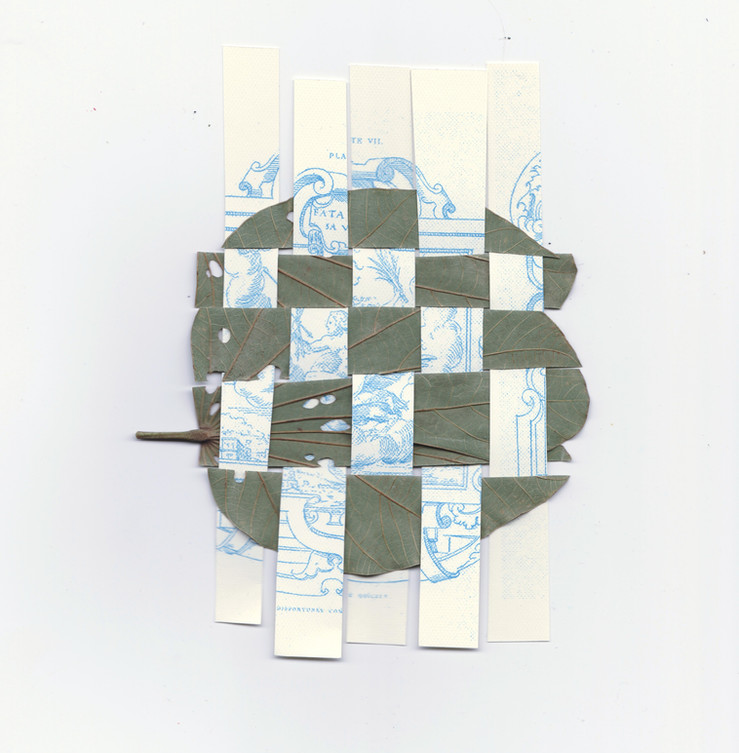 Obras / Works | Céu Isatto