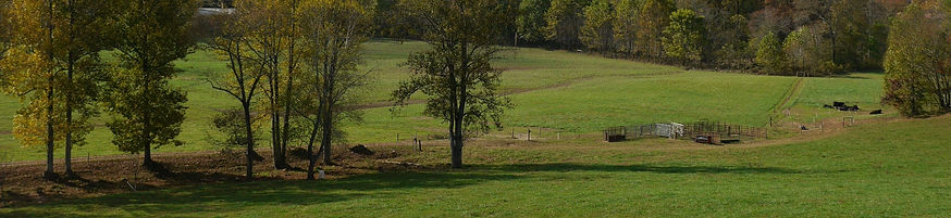 Our Story | Providence Farmstead