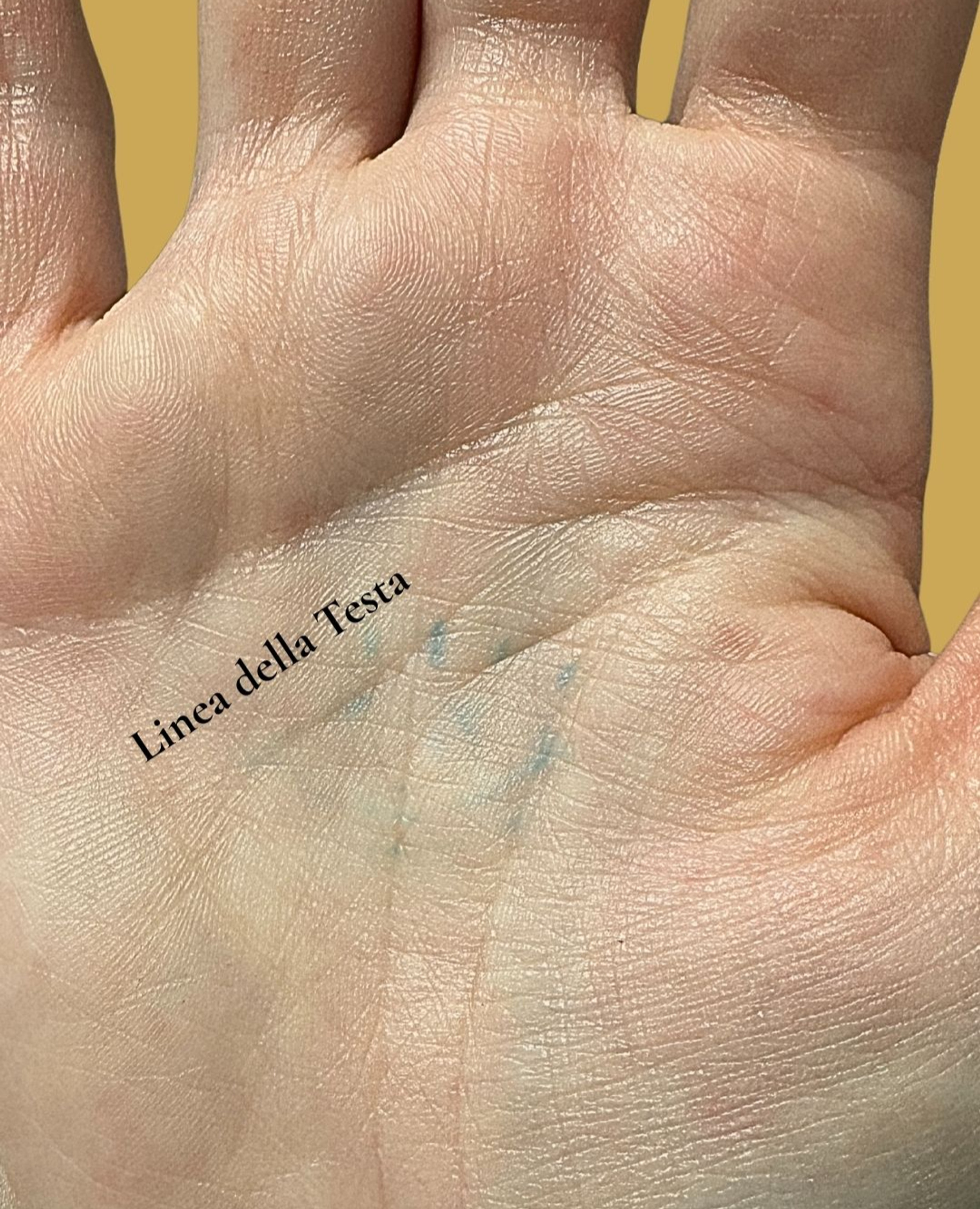 Linea spezzata sulla mano: significato e interpretazione