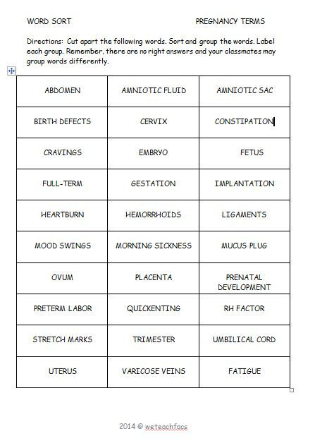 Pregnancy | we-teach-facs