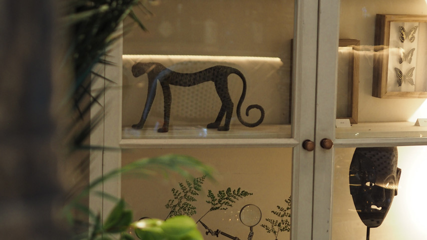 HOME | Ficus Bar