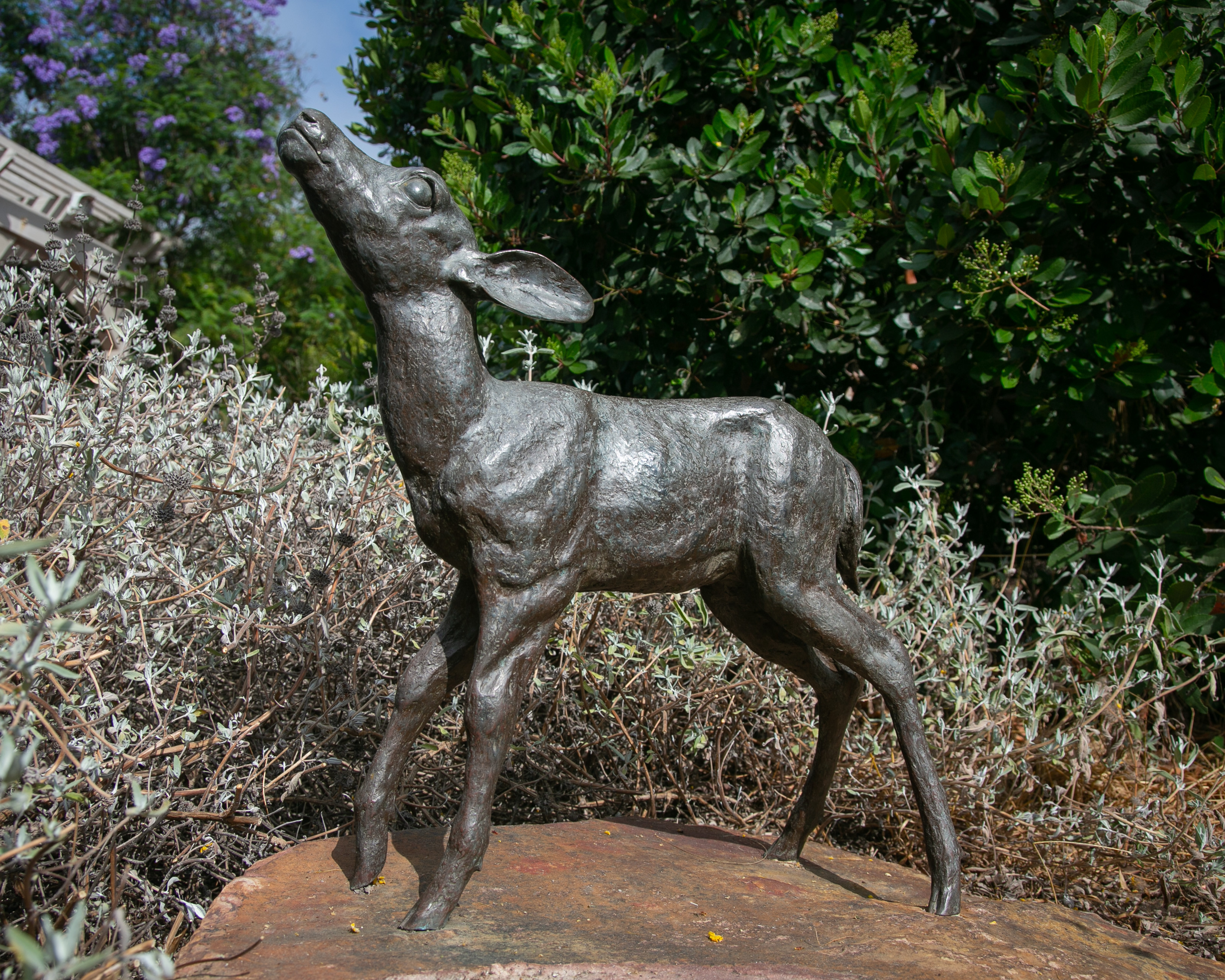 Dawning | Fallbrook Center for the Arts | Fallbrook, CA