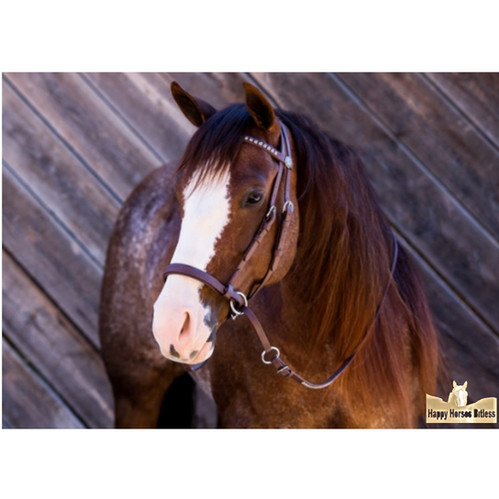 DR COOKS DELUXE BETA CROSS-UNDER BITLESS BRIDLE