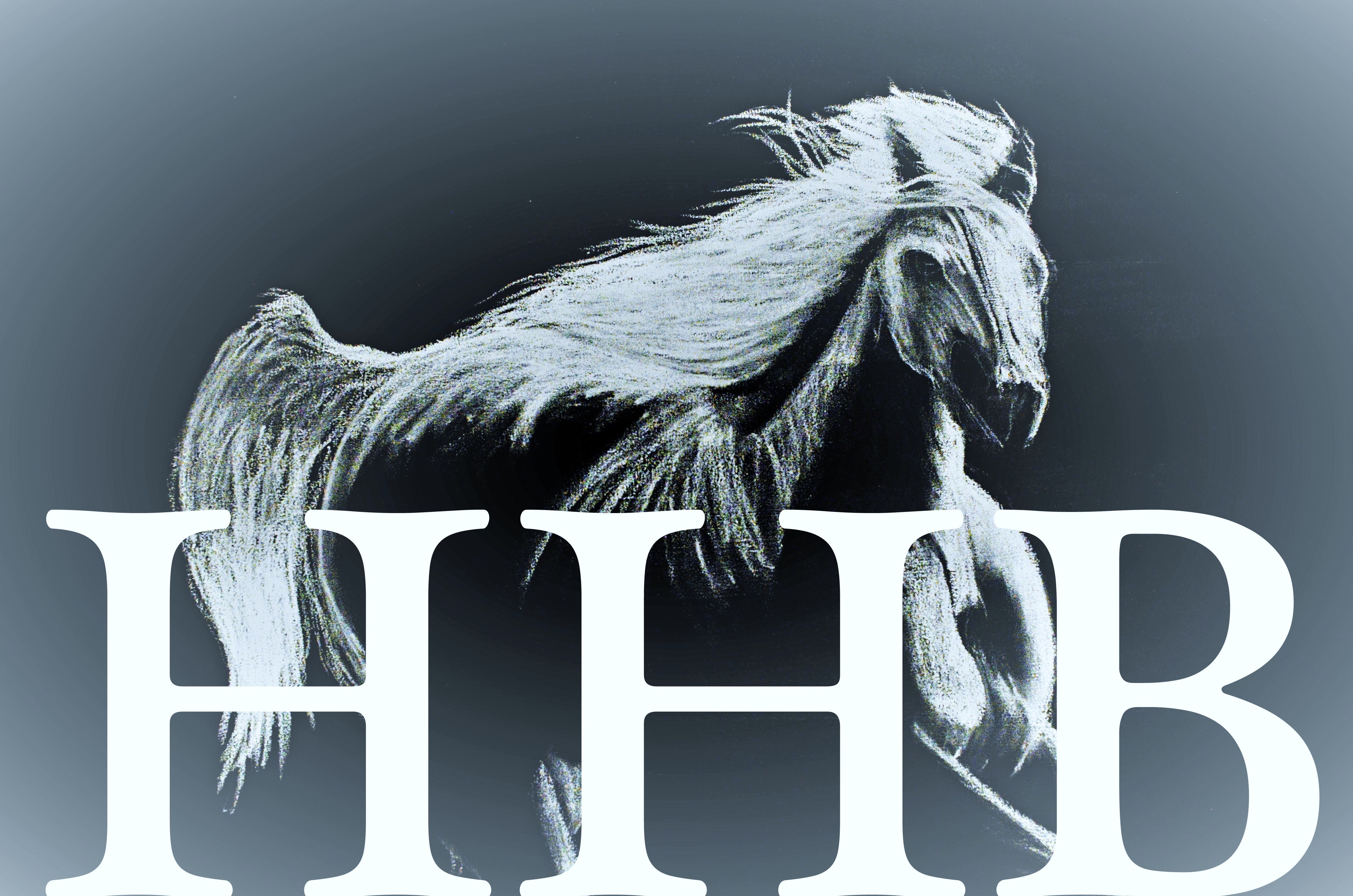 Bitless Bridles | Happy Horses Bitless Bridles