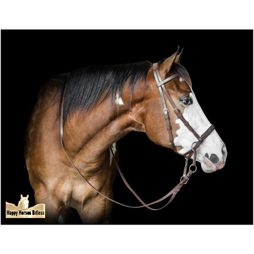 Dr Cooks Beta Cross-Under Bitless Bridle | happyhorsesbitless