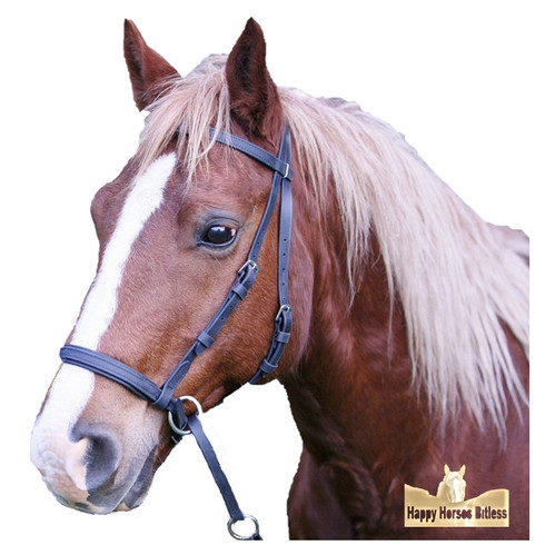 Dr Cooks Beta Cross-Under Bitless Bridle | happyhorsesbitless