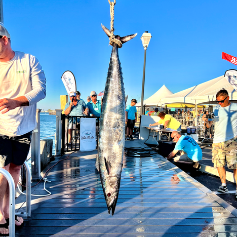 Dock Road Marlin Fest | Beach Haven