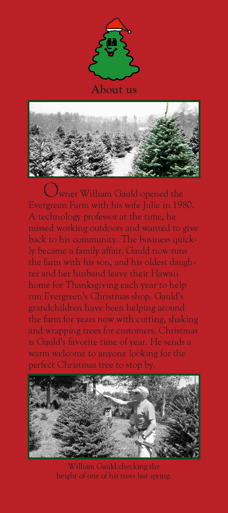Evergreen Tree Farm brochure | Embrace the umlaut